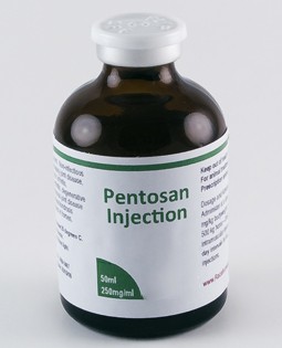 Buy Pentosan Injection For Horses | Joint Repair - EquineRx