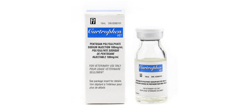 Buy Cartrophen Vet | Powerful Joint Relief - EquineRx